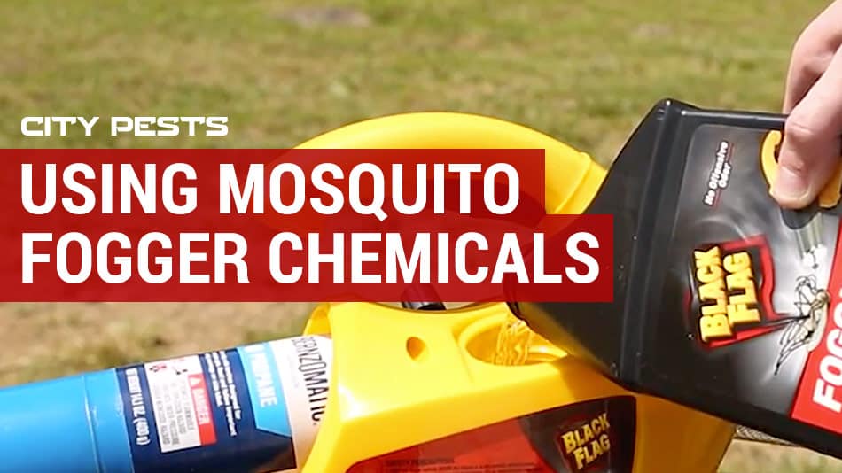How To Use And Mix Mosquito Fogging Chemicals CITY PESTS How To Use And Mix Mosquito Fogging Chemicals CITY PESTS